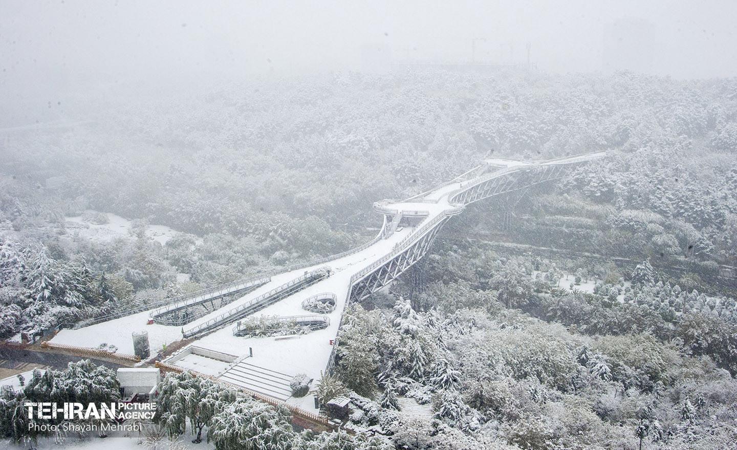 پل طبیعت در روز برفی پایتخت | آژانس عکس تهران